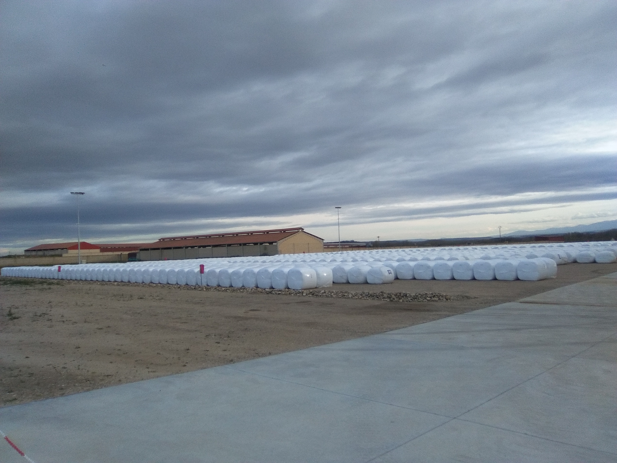 TRASA – Producción de ensilados vegetales para alimentación animal ...